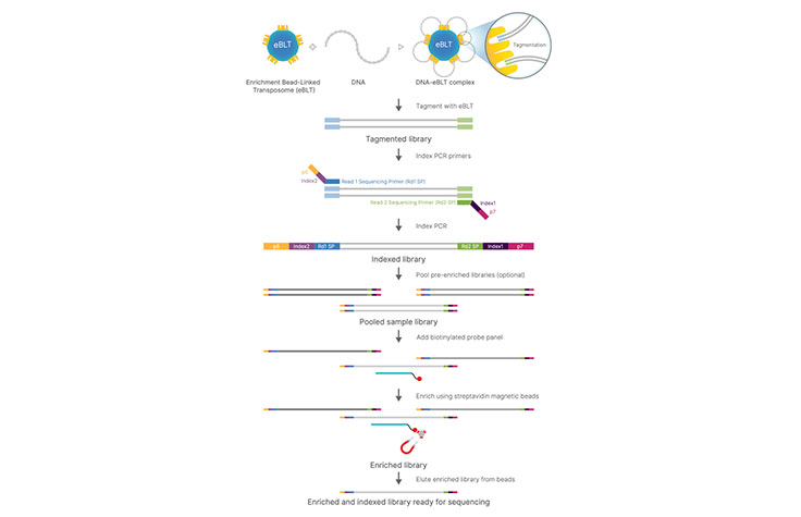 TruSight One Sequencing Panel | 靶向覆盖疾病相关基因