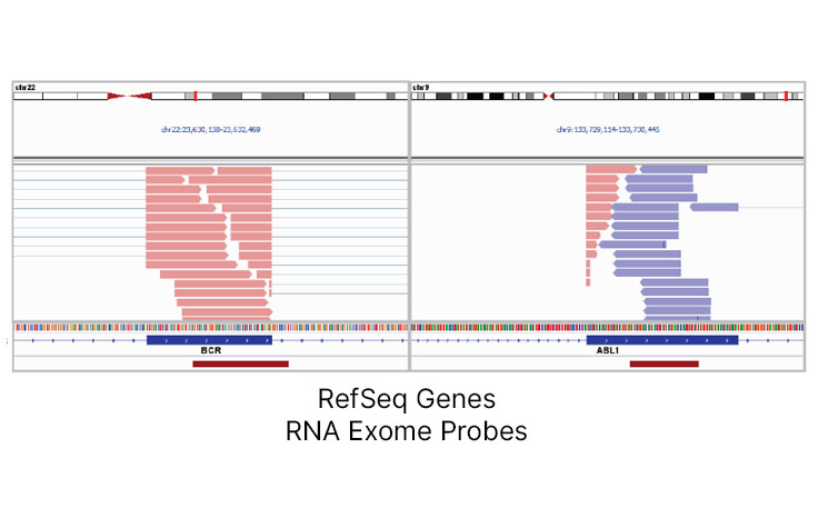 TruSeq RNA Exome（原名为TruSeq RNA Access Library Prep Kit）
